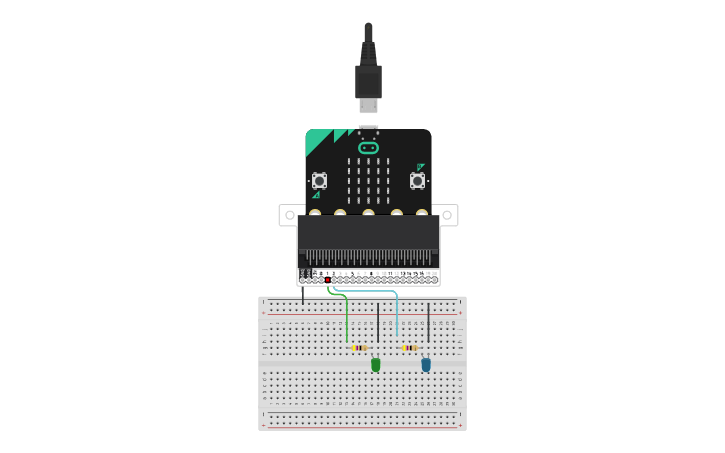 Circuit design Two LEDs alternating on Microbit simplest code - Tinkercad