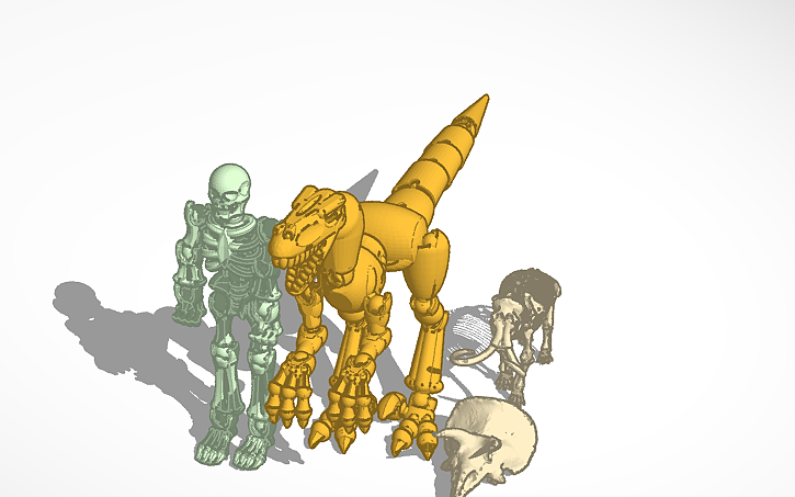 3D design skeletons and bones - Tinkercad