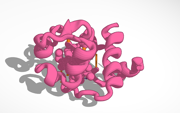 3D design Cytochrome-C-New - Tinkercad