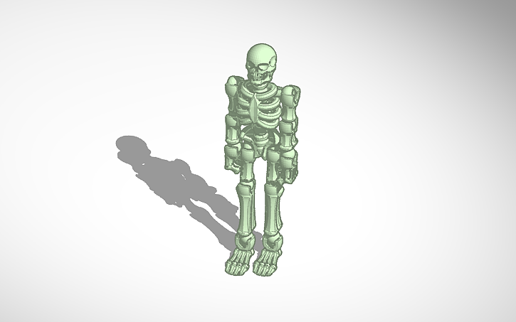 3D design skeleton - Tinkercad