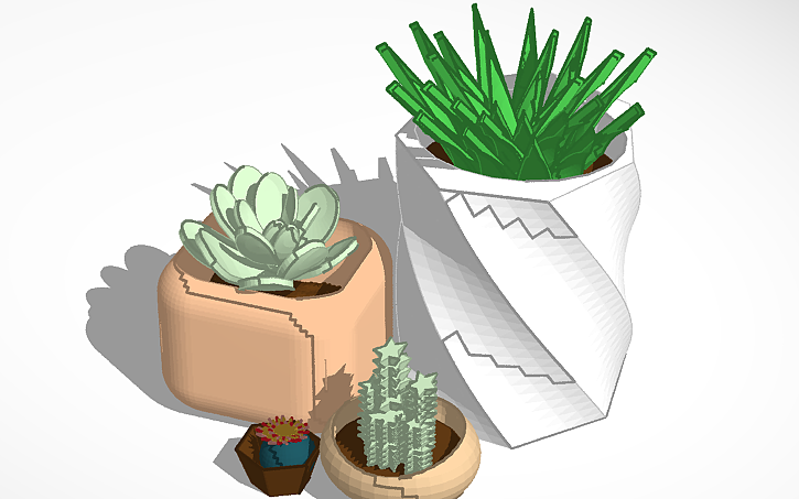 3D design plants - Tinkercad