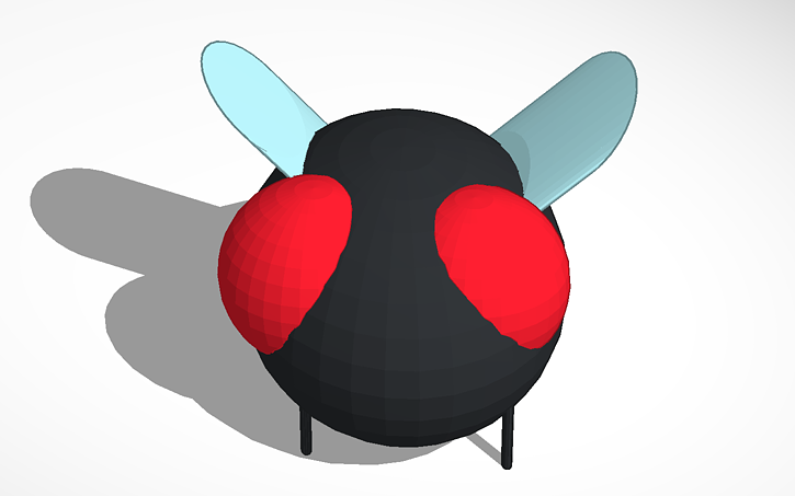 3D design Fly - Tinkercad
