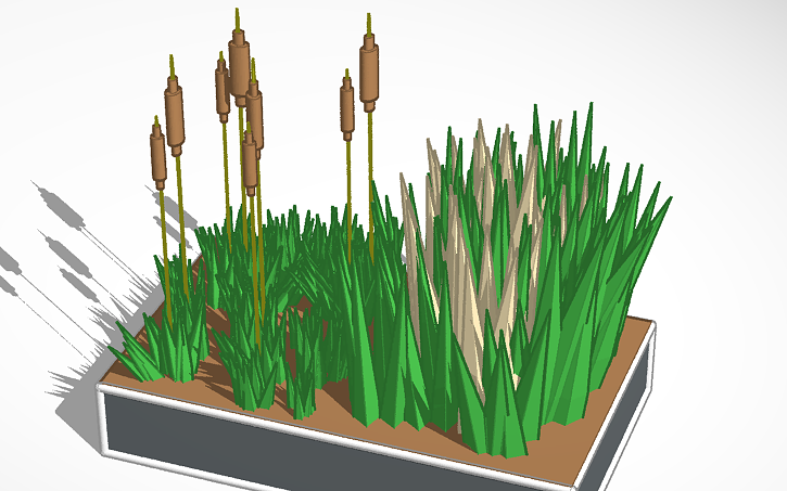 3D design Wetland Model - Tinkercad