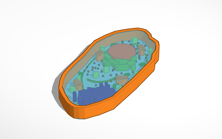 3D design Клетка | Tinkercad