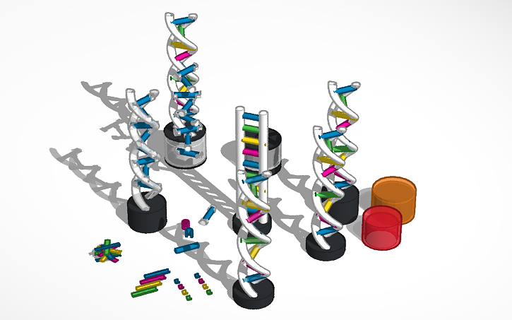 3D design DNA | Tinkercad