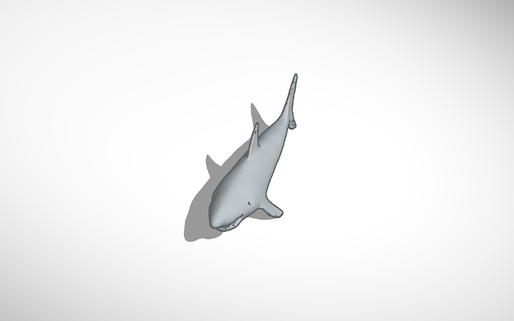 3D design shark - Tinkercad