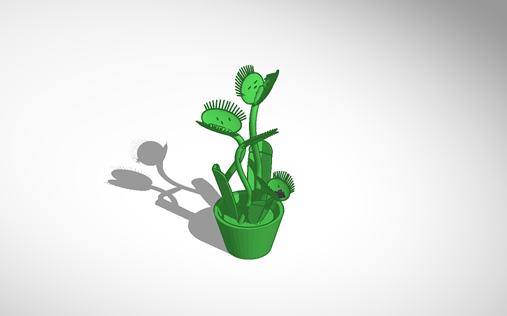 3D design venus flytrap - Tinkercad