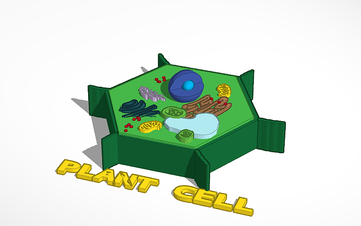 3D design plant cell - Tinkercad