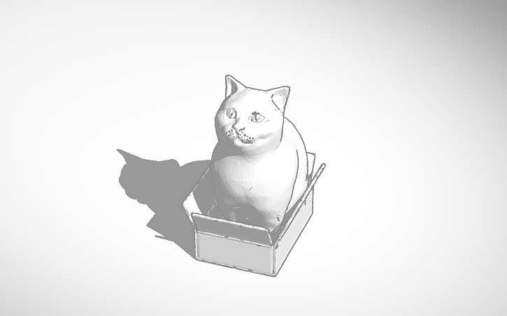 3D design box cat - Tinkercad