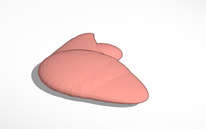 3D design Liver - Tinkercad