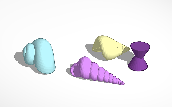 3D design Copy of Seashells - Tinkercad
