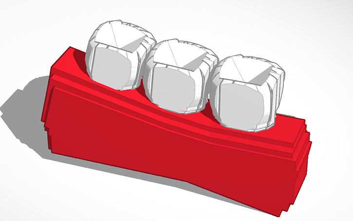 3D design Molar Teeth | Tinkercad