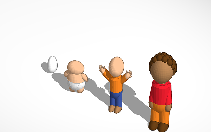 3D design Human Life Cycle - Tinkercad