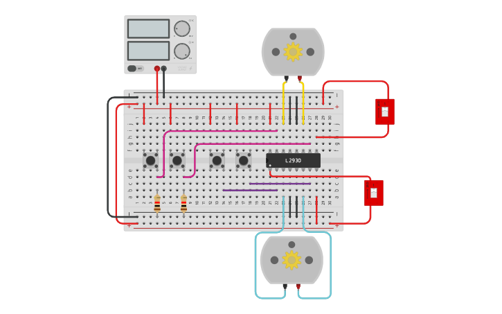 Circuit Design Motori L293d Double Rotation Tinkercad
