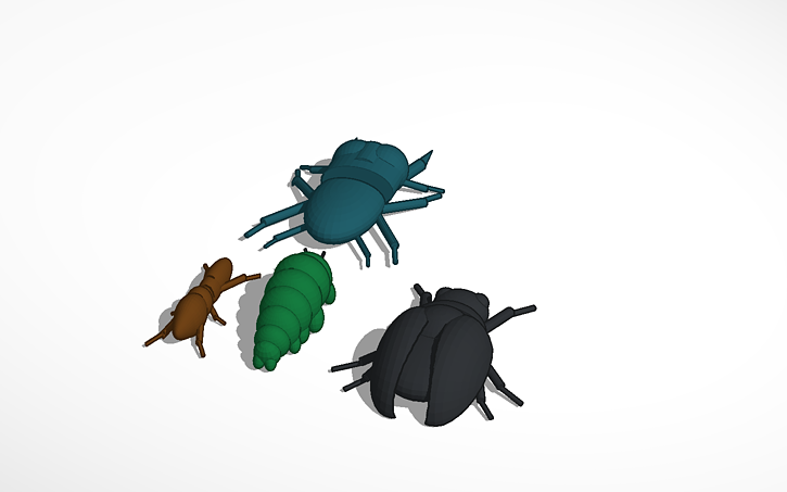 3D design Bugs - Tinkercad