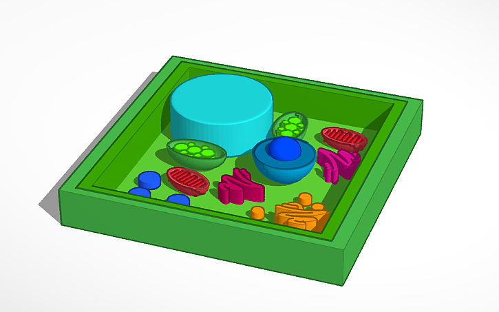3D design Cell Model. - Tinkercad
