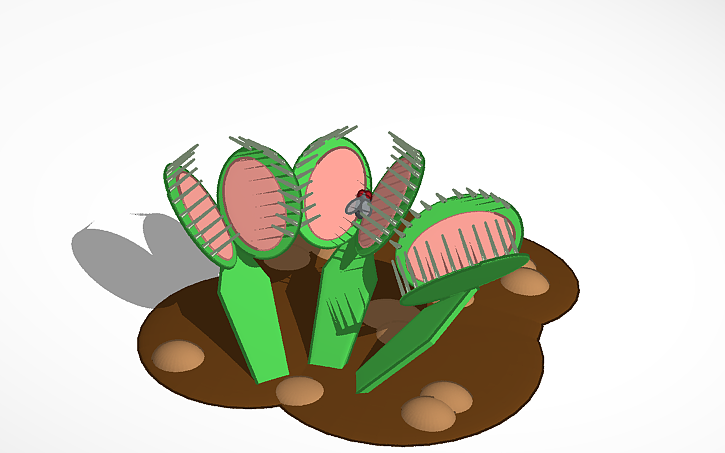 3D design VENUS FLYTRAP - Tinkercad
