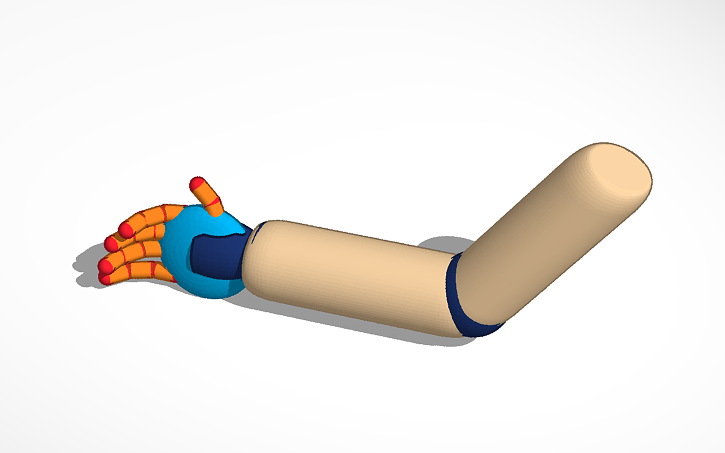 3D design Prosthetic Limb Project - Tinkercad