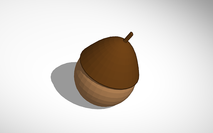 3D design Acorn - Tinkercad