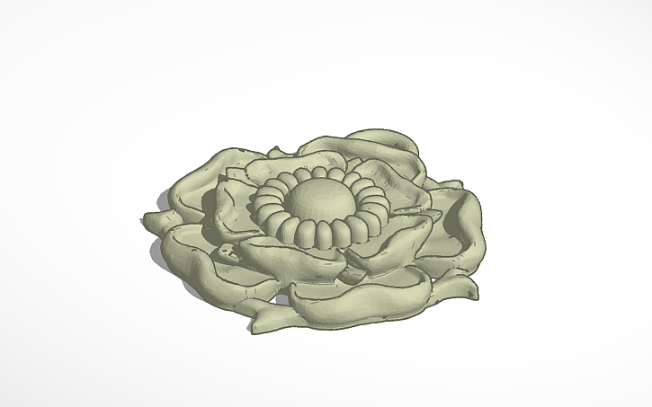 3D design Rose - Tinkercad
