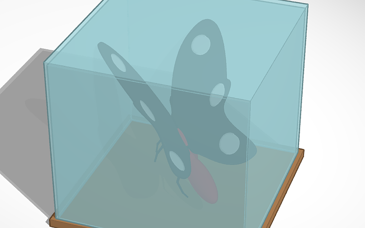 3D design ButterFly | Tinkercad