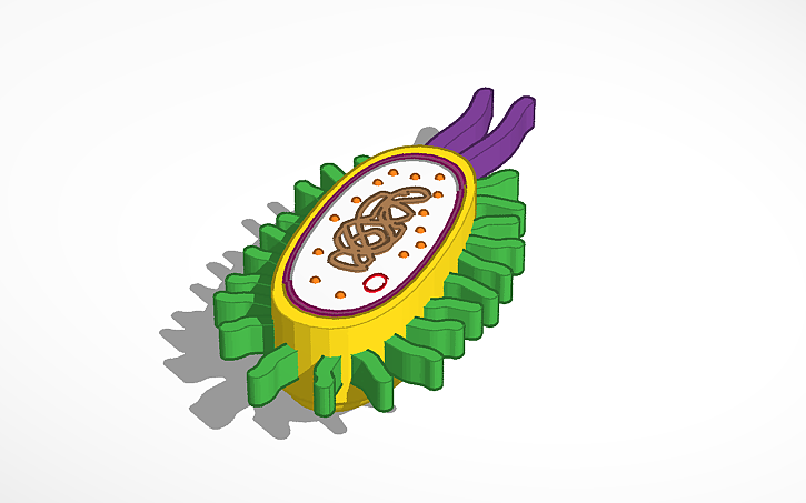 3D design Prokaryotic - Tinkercad