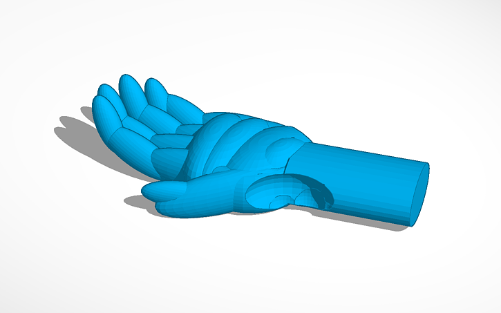 3D design realistic(ish) hand | Tinkercad