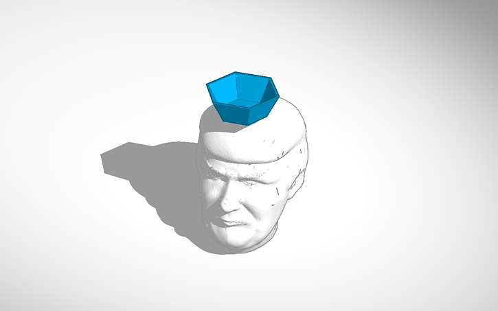 3D design DONALD TRUMP - Tinkercad