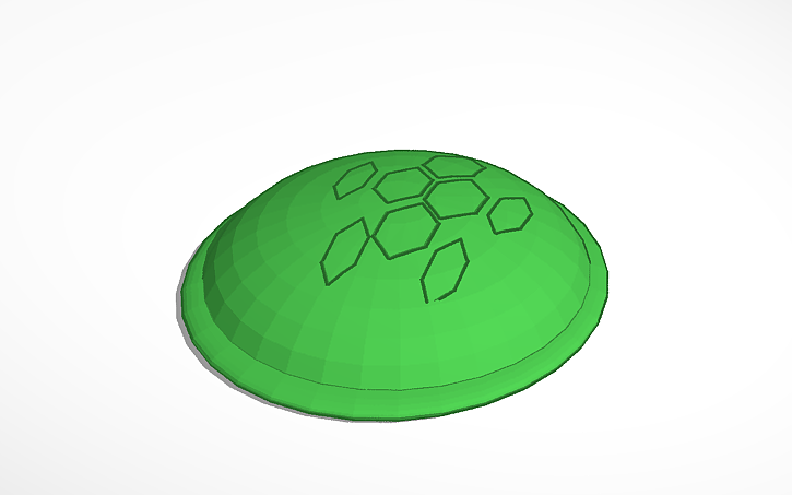3D design turtle shell | Tinkercad