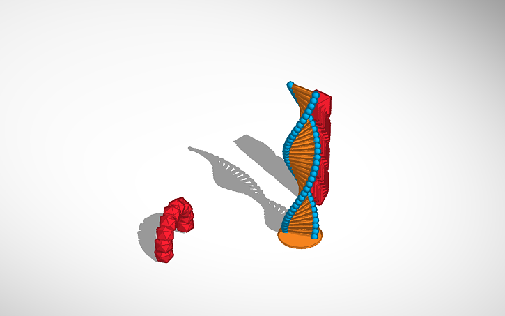 3D design DNA - Tinkercad