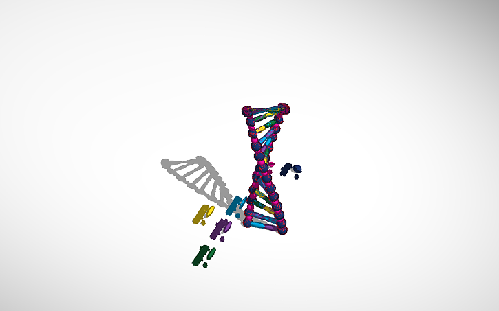3D design DNA 3D Model - Tinkercad