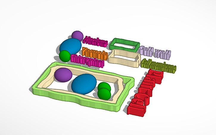 3d Design Cell Project Tinkercad