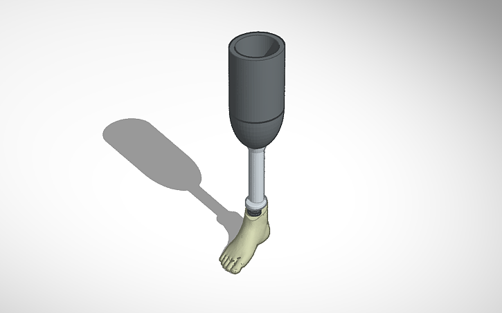 3d Design Copy Of Prosthetic Leg Tinkercad