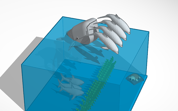 3D design OCEAN - Tinkercad