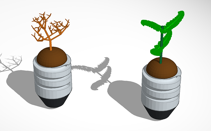 3D design plant bulbs - Tinkercad