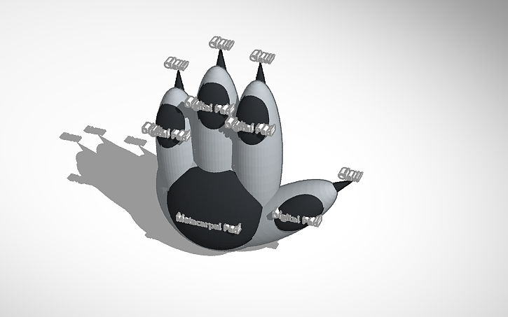 3D design Furry “Hand” - Tinkercad