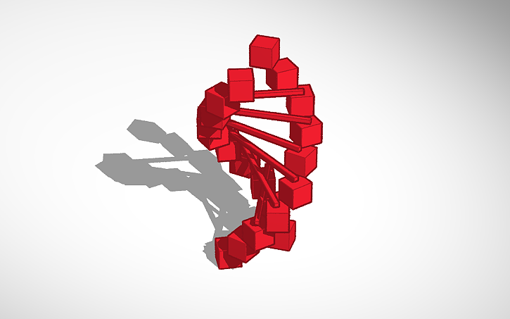 3D design Helix Strand DNA | Tinkercad