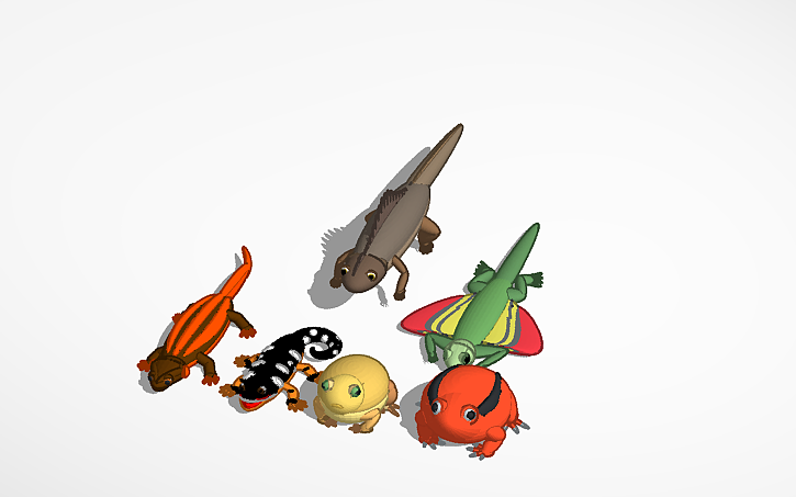 3D design reptiles & amphibians - Tinkercad