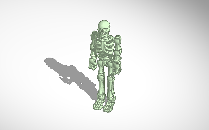 3D design Skeleton | Tinkercad