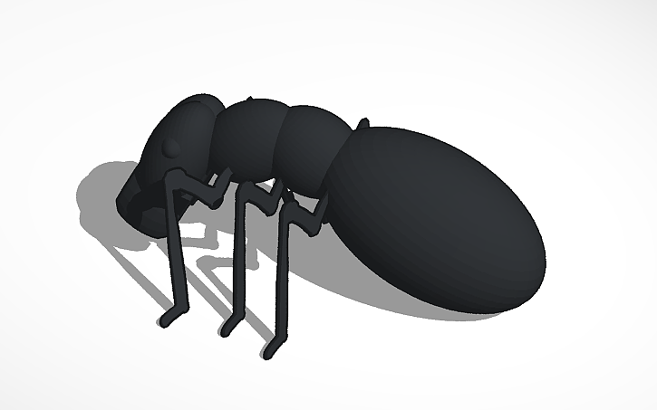 3D design Ant 🐜 | Tinkercad