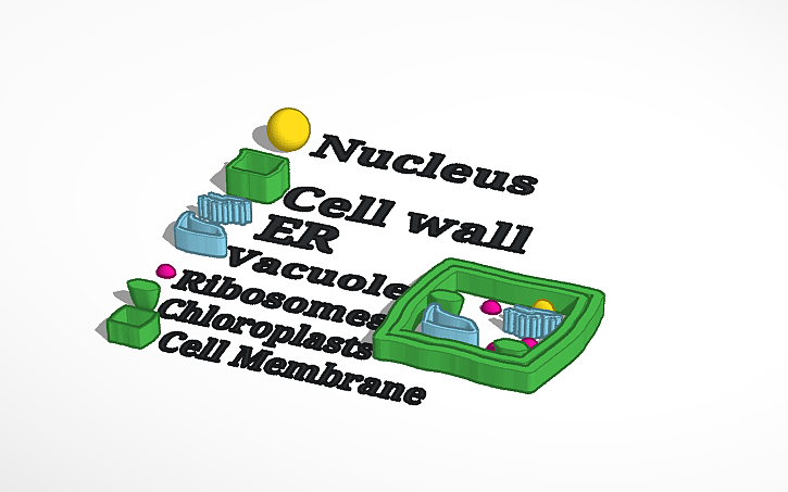 3D design Cell project-Luca C | Tinkercad