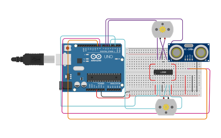 Circuit design Shiny Amur - Tinkercad