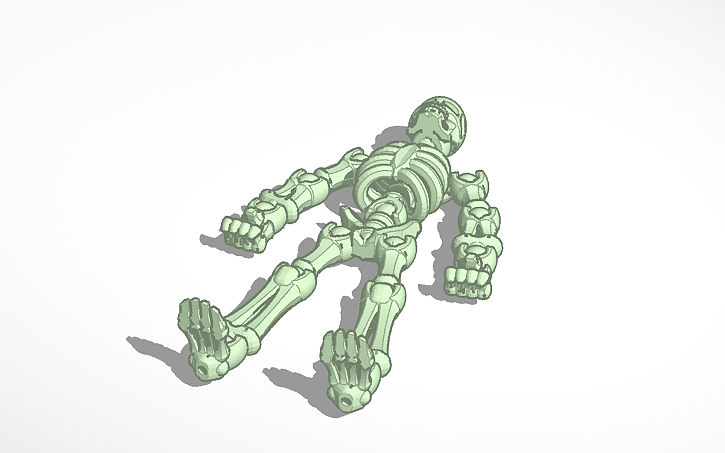 3D design Skeleton | Tinkercad