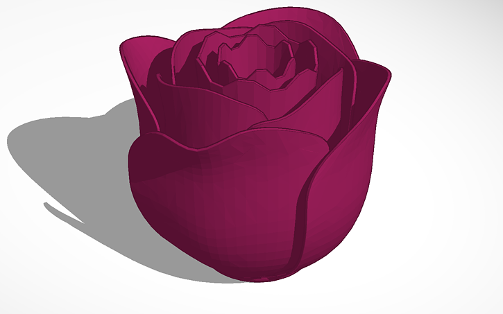 3D design rose - Tinkercad