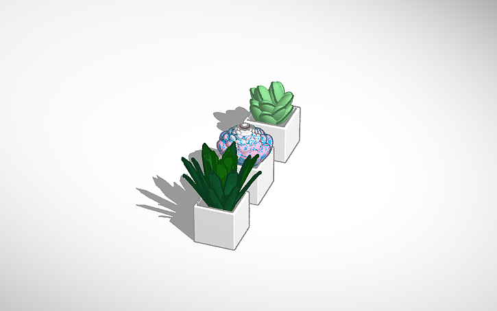 3D design Succulents - Tinkercad