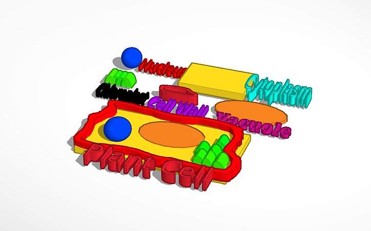 3D design Cool Waasa-Trug - Tinkercad
