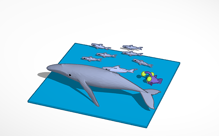 3D design Sea - Tinkercad