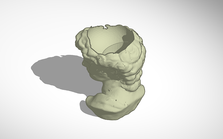 3D design David Head - Tinkercad