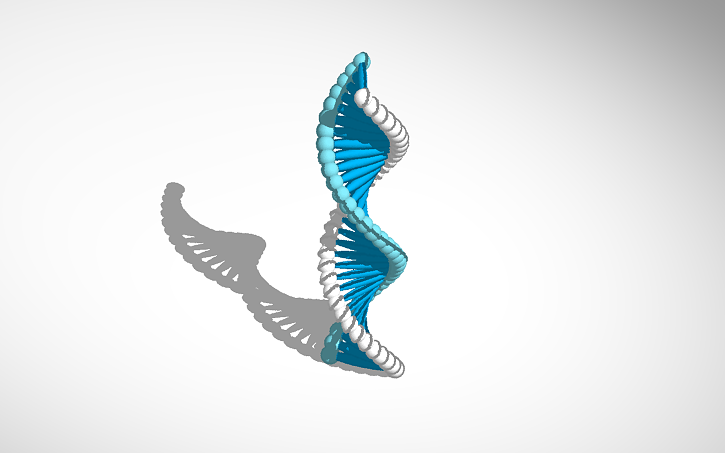 3D design DNA - Tinkercad