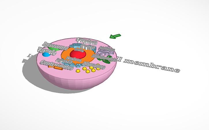 3D design Cell - Tinkercad
